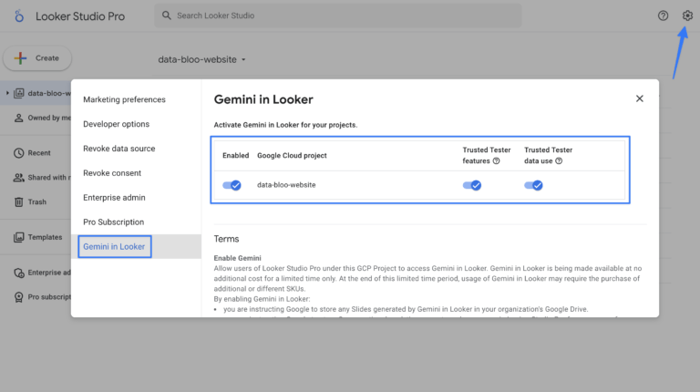 Introducing Looker Studio Gemini AI - Data Bloo